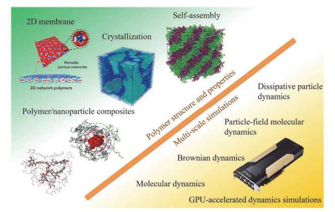 Coarse Grained Dynamics Simulation In Polymer Systemsfrom Structures