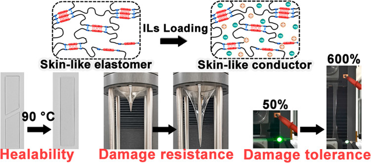 Mechanically Robust Skin-like Poly(urethane-urea) Elastomers Cross ...