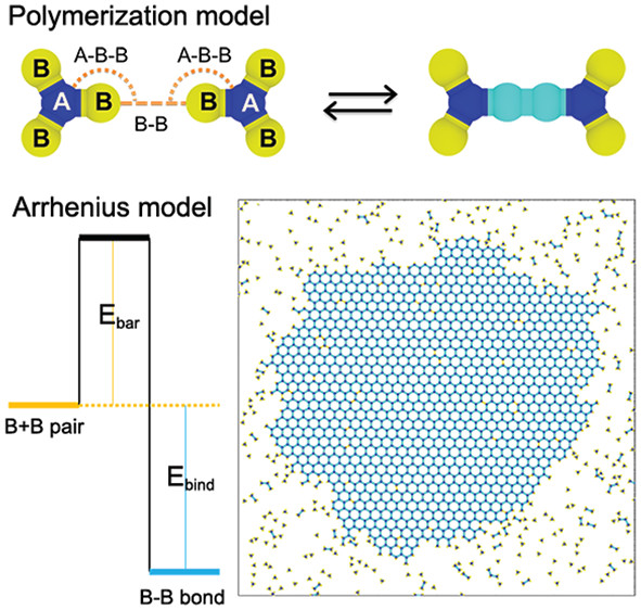 Mechanisms of Defect Correction by Reversible Chemistries in Covalent ...